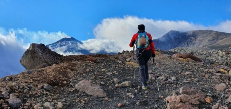 From Taormina or Catania: Private Full-Day Mount Etna Hike - Why This Tour Is Worth Considering