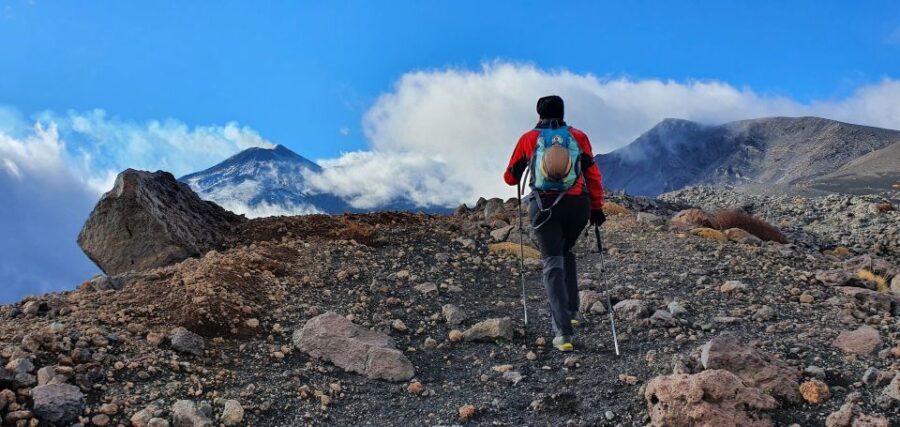 From Taormina or Catania: Private Full-Day Mount Etna Hike - Why This Tour Is Worth Considering