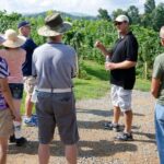 From Taormina: Private 3 Etna Wineries with Food & Wine - An In-Depth Look at What the Tour Offers