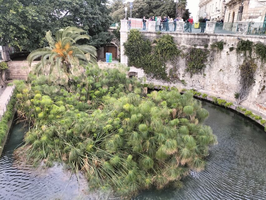 From Taormina: Siracusa & Noto Small-Group Tour - What Youll Do and Why It Matters