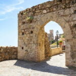 From Taormina: The Godfather Sicily Tour - Transport and Logistics