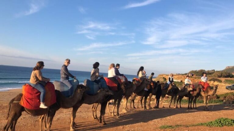 From Tarifa: Tangier full day Trip with guide - In-Depth Breakdown of the Itinerary