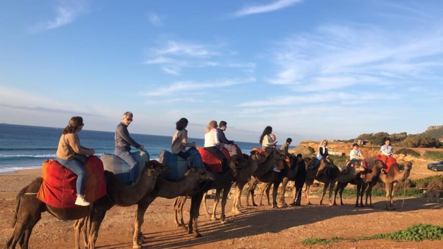From Tarifa: Tangier full day Trip with guide - In-Depth Breakdown of the Itinerary