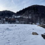 From Tbilisi: Bakuriani and Borjomi Day Trip - Practical Details and Value