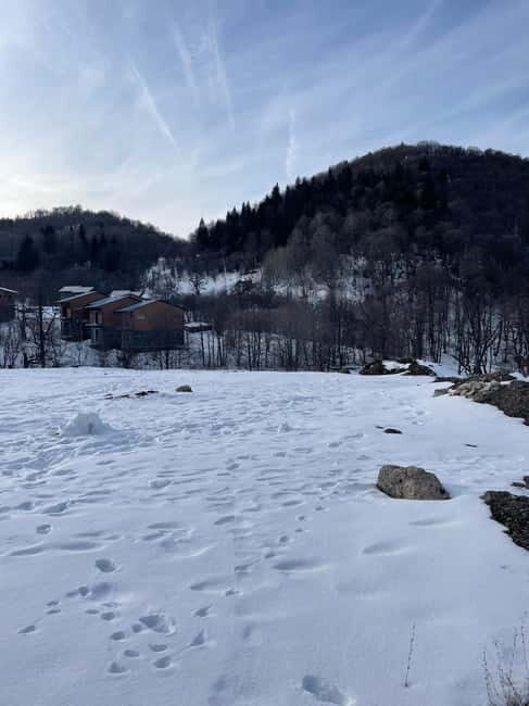 From Tbilisi: Bakuriani and Borjomi Day Trip - Practical Details and Value