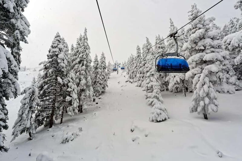From Tbilisi: Borjomi and Bakuriani Ski Resort Private Tour - Scenic Travel to Bakuriani: Mountain Views and Fresh Air