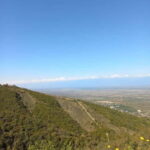 From Tbilisi: Kakheti Day Trip with Wine Tasting - What You Can Expect at Each Stop
