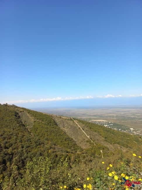 From Tbilisi: Kakheti Day Trip with Wine Tasting - What You Can Expect at Each Stop