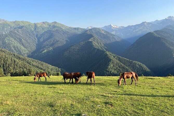 From Tbilisi: Svaneti 4 Days Private tour (Mestia, Ushguli) - Why This Tour Represents Great Value
