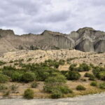 From Tbilisi: Vashlovani National Park Day Trip - Wildlife and Flora: Unexpected Encounters