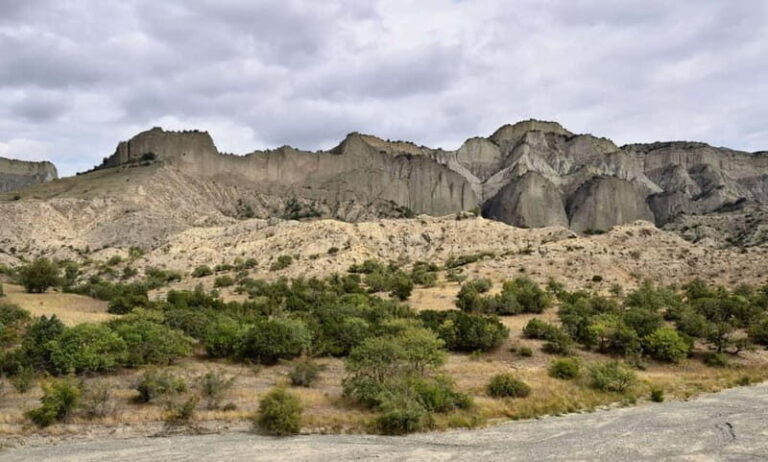 From Tbilisi: Vashlovani National Park Day Trip - Wildlife and Flora: Unexpected Encounters