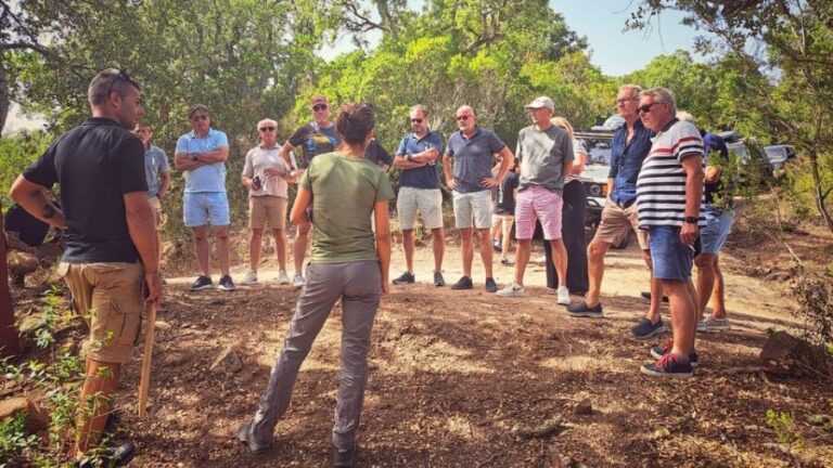 From Tempio: 4-hour jeep tour - Who Would Enjoy This Tour Most?