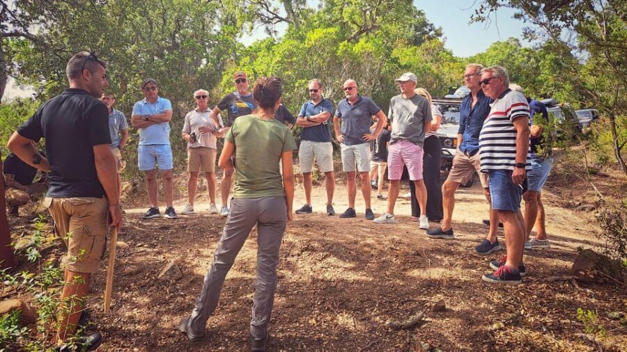 From Tempio: 4-hour jeep tour - Who Would Enjoy This Tour Most?