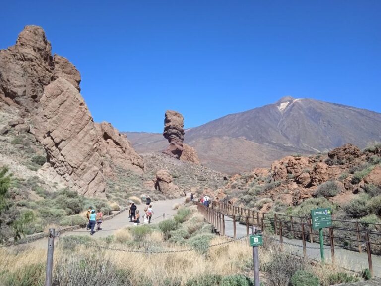 From Tenerife: Teide National Park Guided Day Trip by Bus - What the Reviews Say: Authentic Traveler Insights