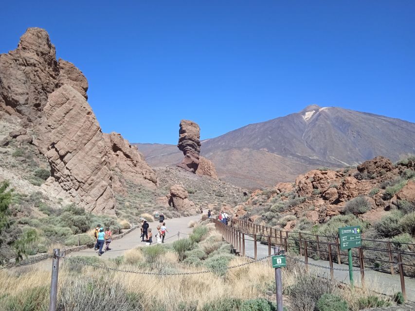 From Tenerife: Teide National Park Guided Day Trip by Bus - What the Reviews Say: Authentic Traveler Insights
