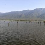 From Thessaloniki: Lake Kerkini, Boat Ride & Winery Day Tour - Exploring the Lake Kerkini Boat Cruise