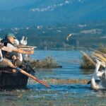 From Thessaloniki: Private Day Trip to Kerkini Lake - A Deep Dive into the Itinerary