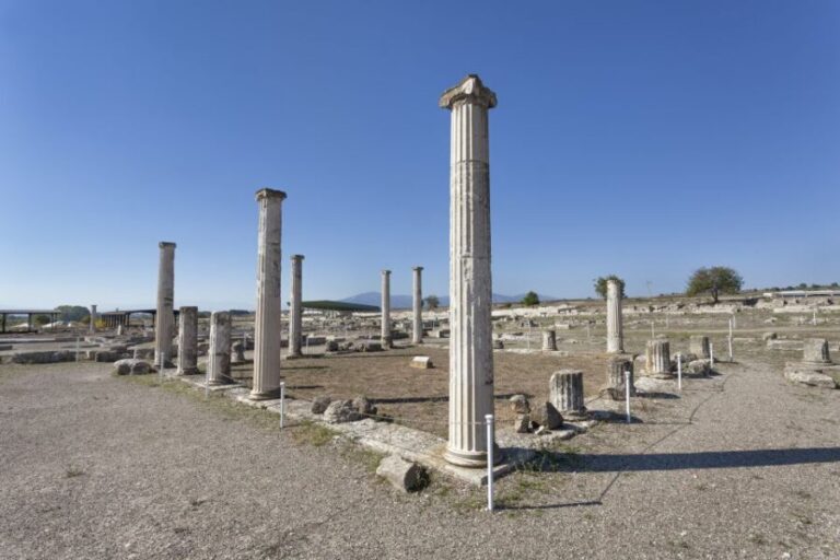 From Thessaloniki: Vergina & Veria Half-Day Tour - Who Should Consider This Tour?