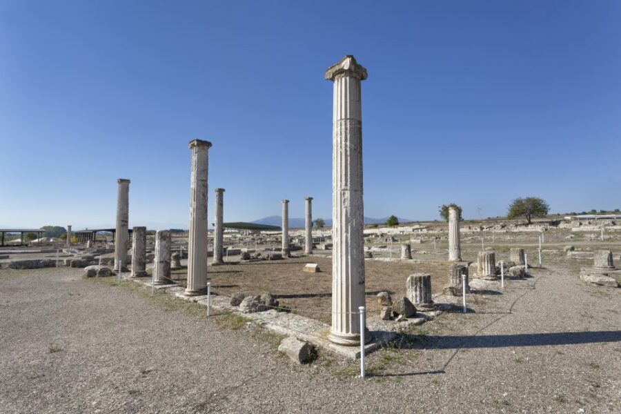 From Thessaloniki: Vergina & Veria Half-Day Tour - Who Should Consider This Tour?