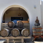 From Tinos: Stemnitsa Winery Tour with Tasting - A Walk Through the Heart of Tinos’ Wine Culture