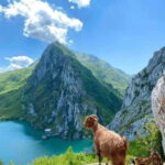 From Tirana: Bovilla Lake and Gamti Mountain Tour - What’s Included and What You Should Know