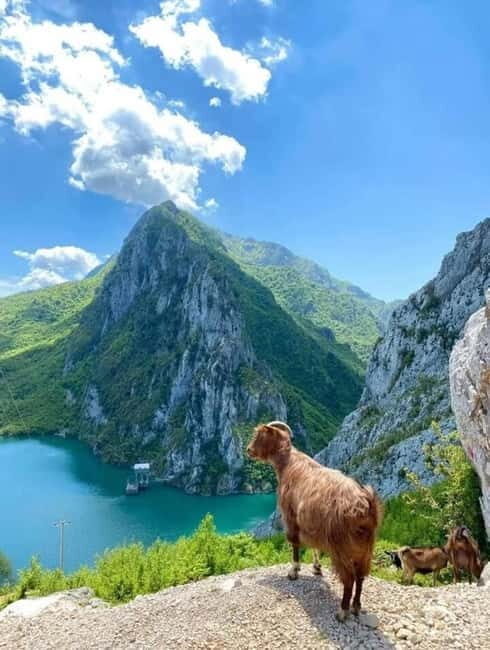 From Tirana: Bovilla Lake and Gamti Mountain Tour - What’s Included and What You Should Know