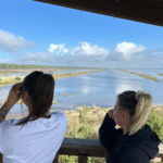 From Tirana/Durres : Karavasta Lagoon 4x4 Offroad Tour. - An In-depth Look at the Itinerary