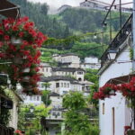 From Tirana: Gjirokastër Day Trip with Guided Tour - Who Would Love This Experience?