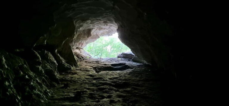 From Tirana: Hiking to Pellumbas Cave & Erzeni Canyon - Who is This Tour Best For?