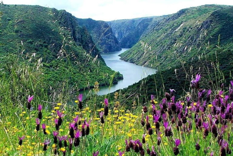 From Torre de Moncorvo: an Immersive Tour through Douro - The Experience at a Glance