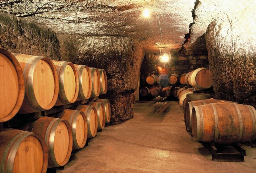 From Tours: Loire Valley Wineries Day Trip with Tastings - First Stop: Bourgueil and Its Wineries