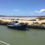 From Trapani: Stagnone Islands of Marsala and salt pans - Who Will Love This Trip?