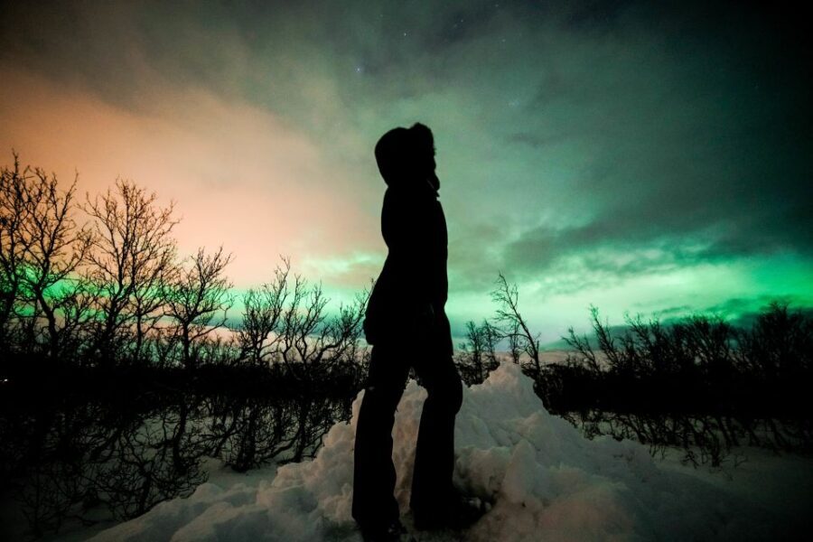 From Tromsø: Aurora Borealis Tour - Price and Value
