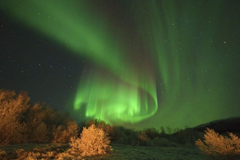 From Tromsø: Aurora Minibus Chase with Portrait and Hot Meal - Final Thoughts