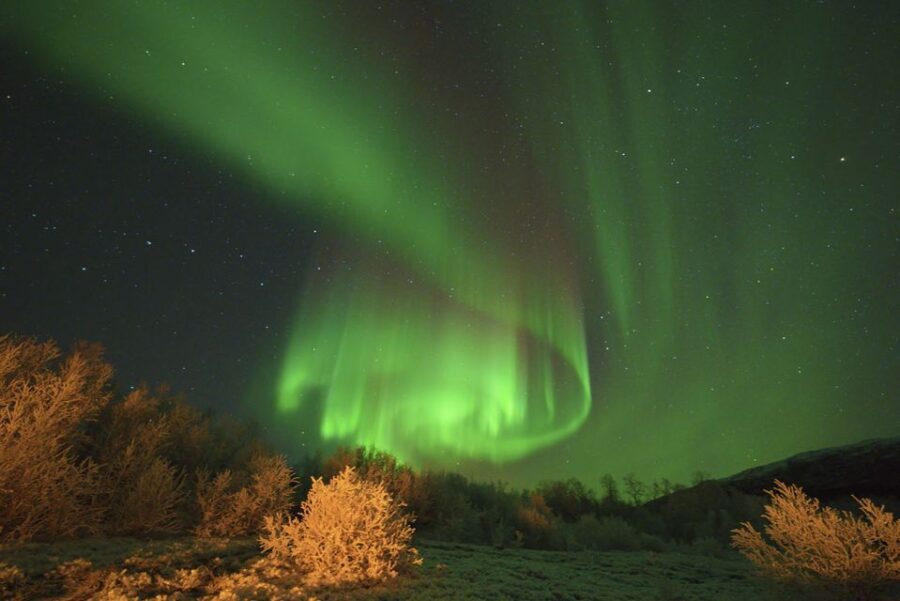 From Tromsø: Aurora Minibus Chase with Portrait and Hot Meal - Final Thoughts