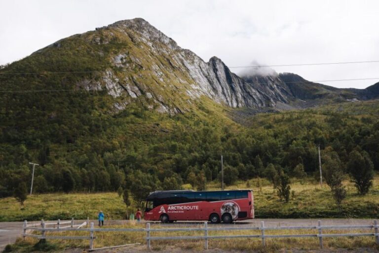 From Tromsø: Self-Guided Fjord Tour to Senja and Local Lunch - The Ferry Experience