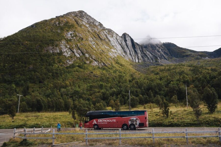 From Tromsø: Self-Guided Fjord Tour to Senja and Local Lunch - The Ferry Experience