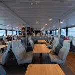 From Tromsø: Whale Watching Safari on High-Speed Catamaran - What Makes This Tour Stand Out?