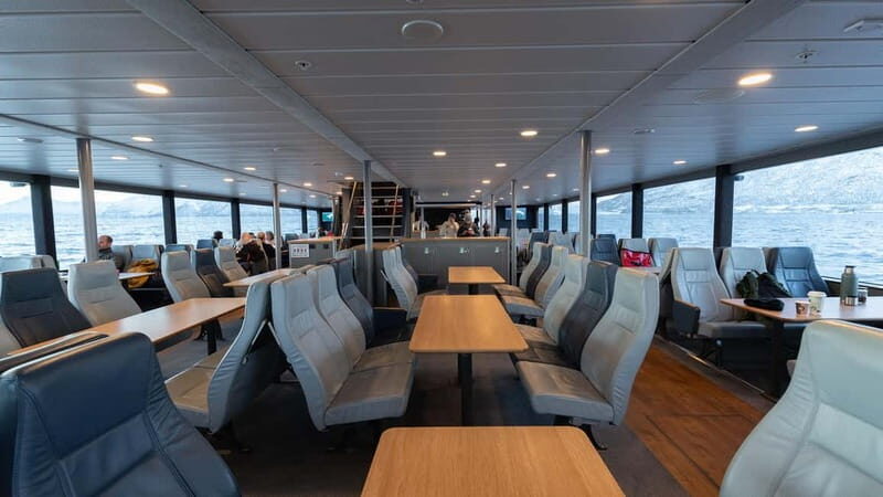 From Tromsø: Whale Watching Safari on High-Speed Catamaran - What Makes This Tour Stand Out?