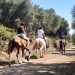 From Tropea: Horseback Riding Tour with Picnic in Francica - Final Thoughts: Is It Worth It?