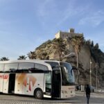From Tropea: Reggio and Scilla Daily Tour - What You Can Expect on This Tour