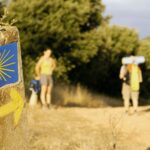 From Tui: 9-Day Guided Camino Walking Tour to Santiago - Why the Tour Works for You