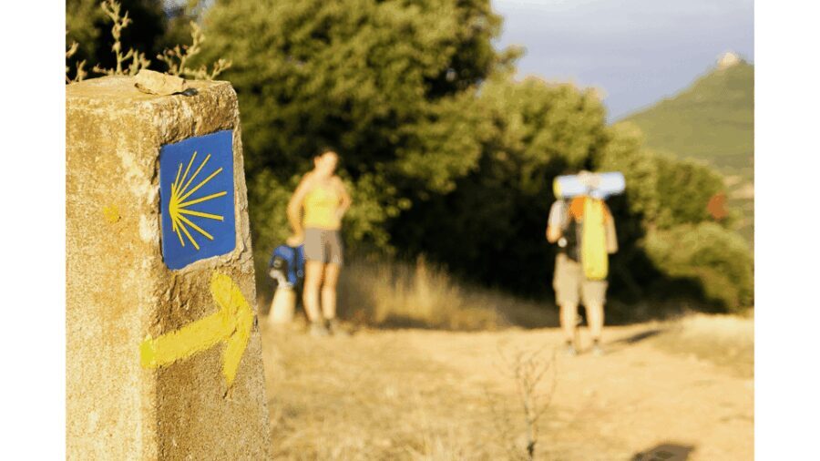 From Tui: 9-Day Guided Camino Walking Tour to Santiago - Why the Tour Works for You