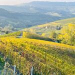 From Turin: Barolo & Barbaresco Tasting Tour - Practical Details and Considerations