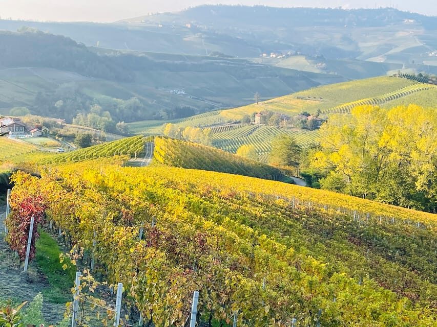 From Turin: Barolo & Barbaresco Tasting Tour - Practical Details and Considerations