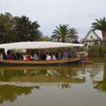 From Valencia: Albufera Natural Park Bus, Cruise and Lunch - Practical Details and What You Should Know