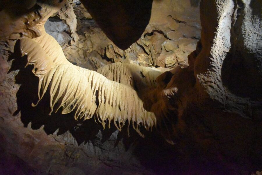 From Valencia: Caves of San José Guided Excursion and Ticket - Who Is This Tour Best Suited For?
