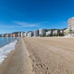 From Valencia: Cullera Old Town and Albufera Natural Park - The Natural Splendor of Albufera Park