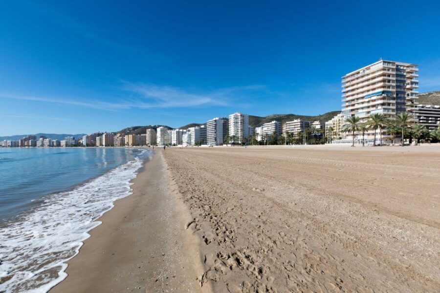 From Valencia: Cullera Old Town and Albufera Natural Park - The Natural Splendor of Albufera Park