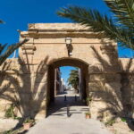 From Valencia/Gandia/Benidorm: Tabarca Island Full Day Trip - The Value of the Experience